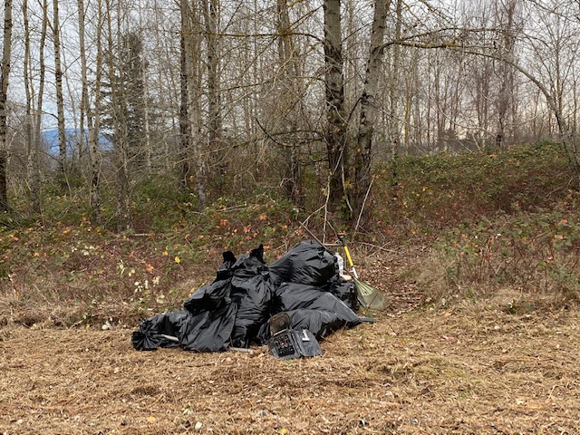 City, Local Partners Clean Up Transient Camps | Troutdale OR